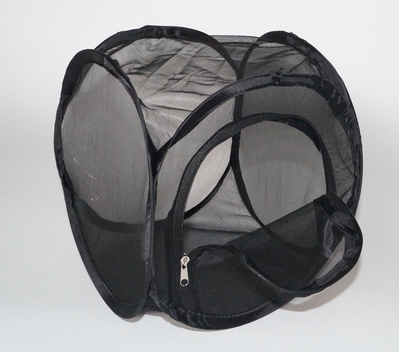 Insect Cage Pop-up black Cube - available in two sizes - 25cm Cube or ...