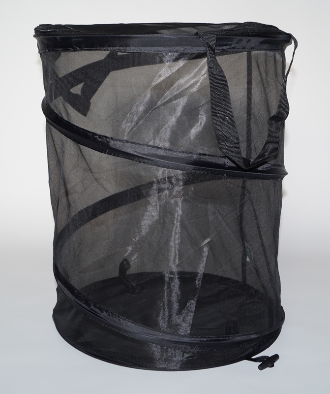 Insect Cage Pop-up style - World of Butterflies and Moths