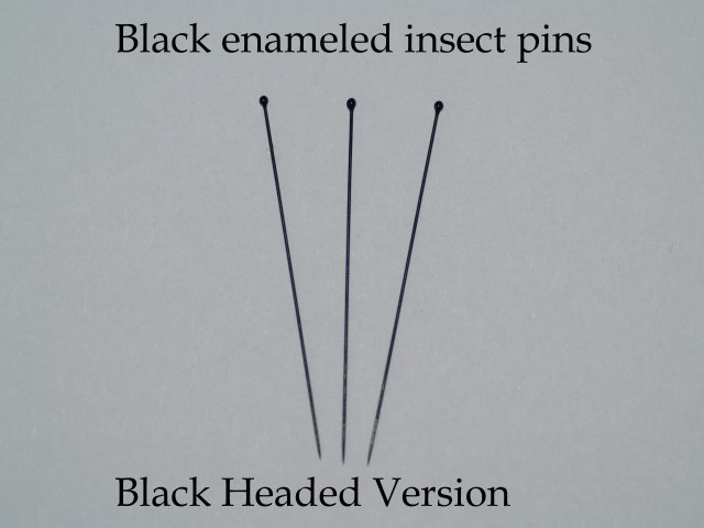 Insect Pins Black Enamel Size 3 / 4 - World of Butterflies and Moths