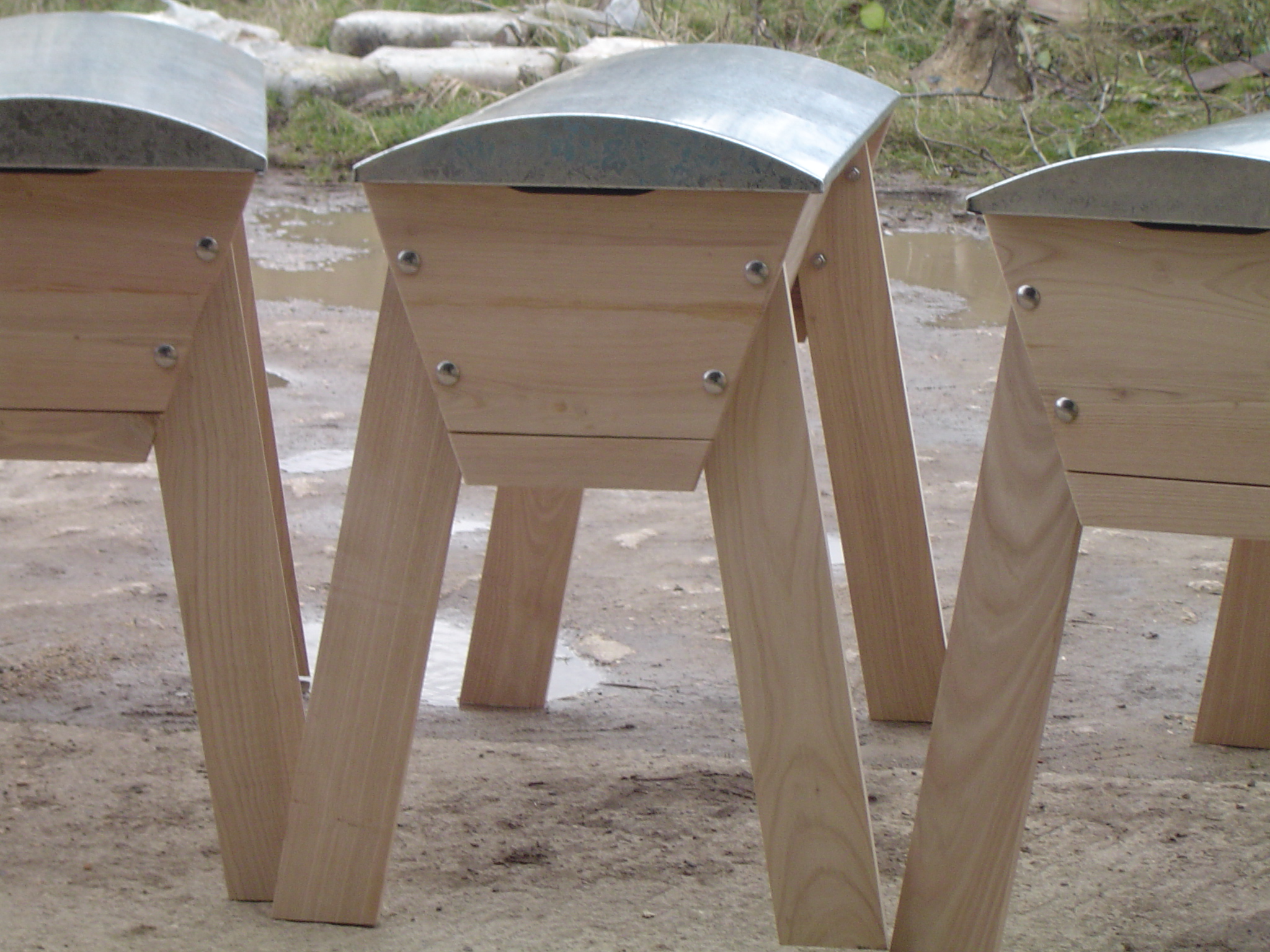 BEE HIVE - World of Butterflies and Moths