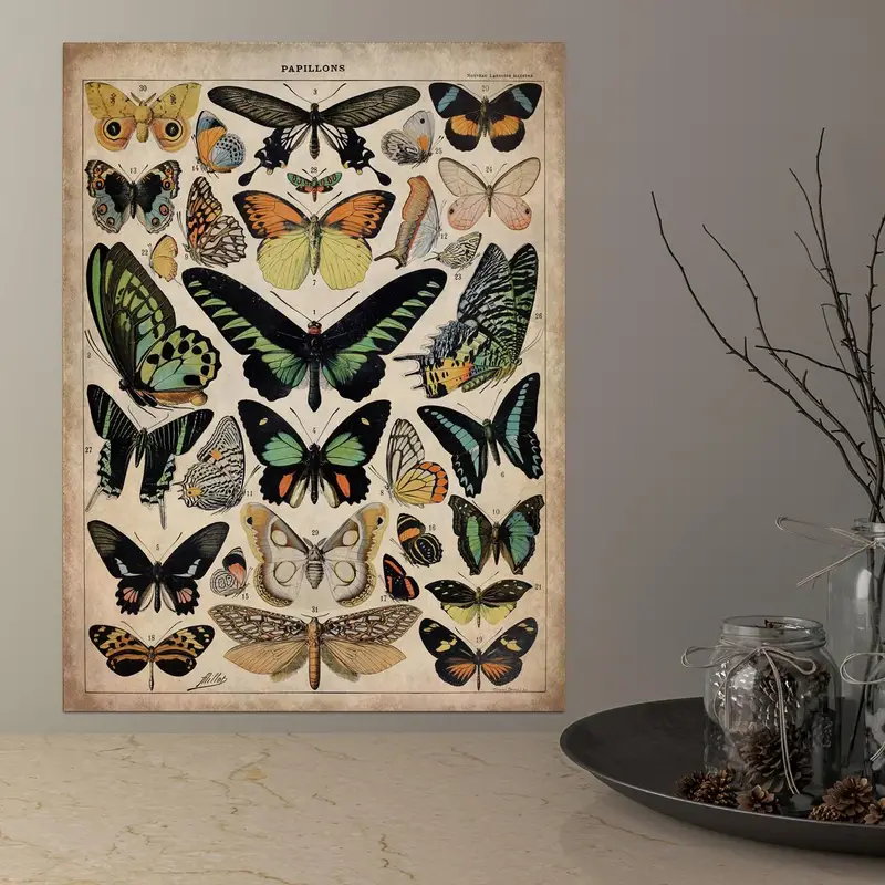 Butterflies Birdwing Canvas poster 30 x 42cm #9690 - World of ...