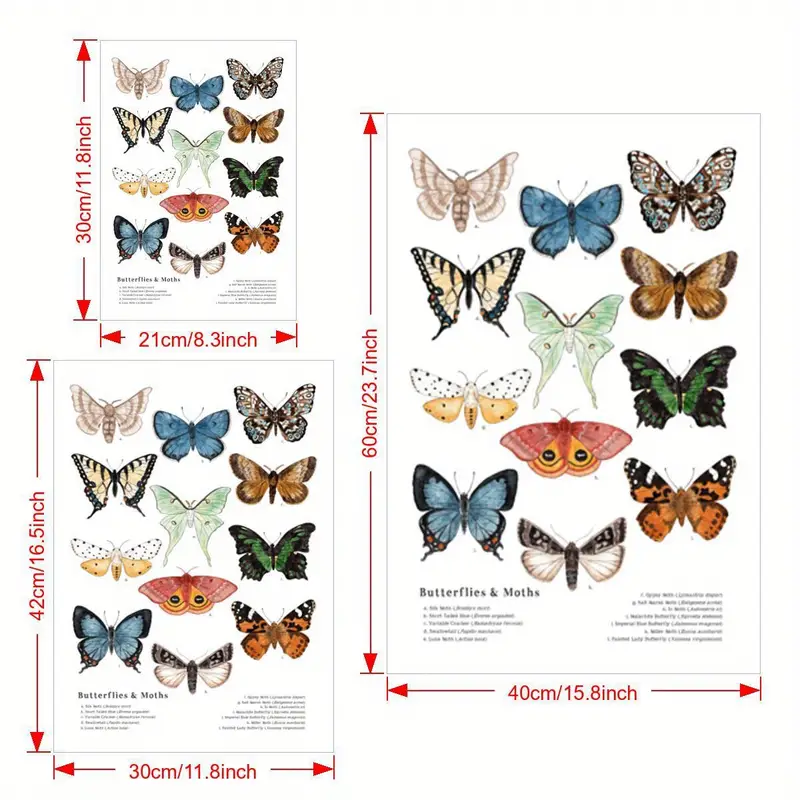 Butterflies & Moths Canvas poster 60 x 40cm #4727 - World of ...