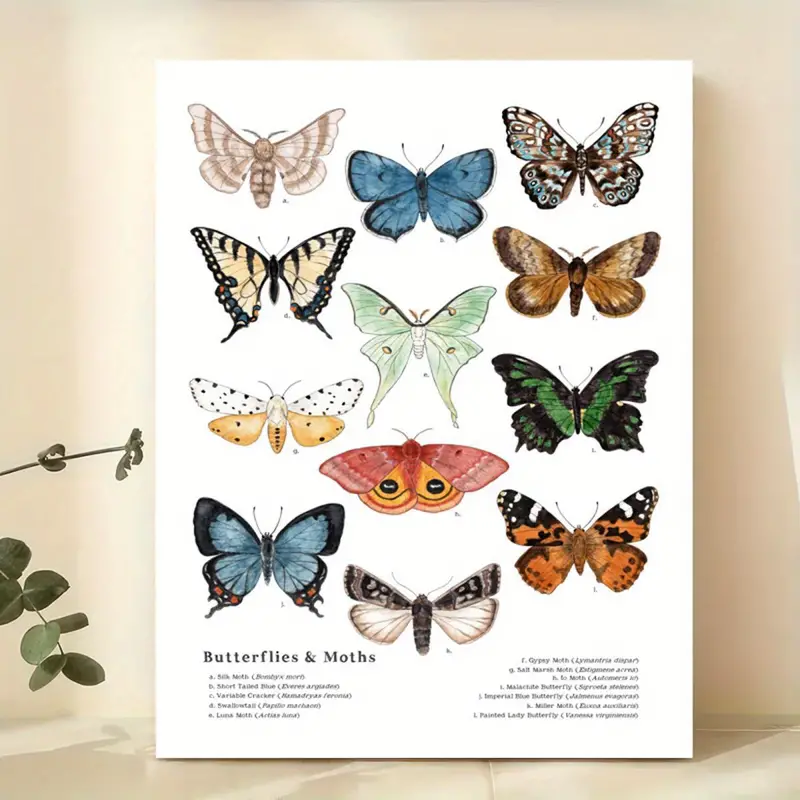 Butterflies & Moths Canvas poster 60 x 40cm #4727 - World of ...