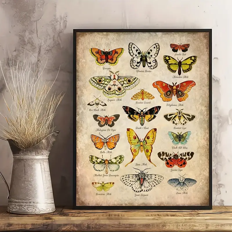 Tiger Moths Comet Canvas poster 30 x 42cm #9785 - World of Butterflies ...
