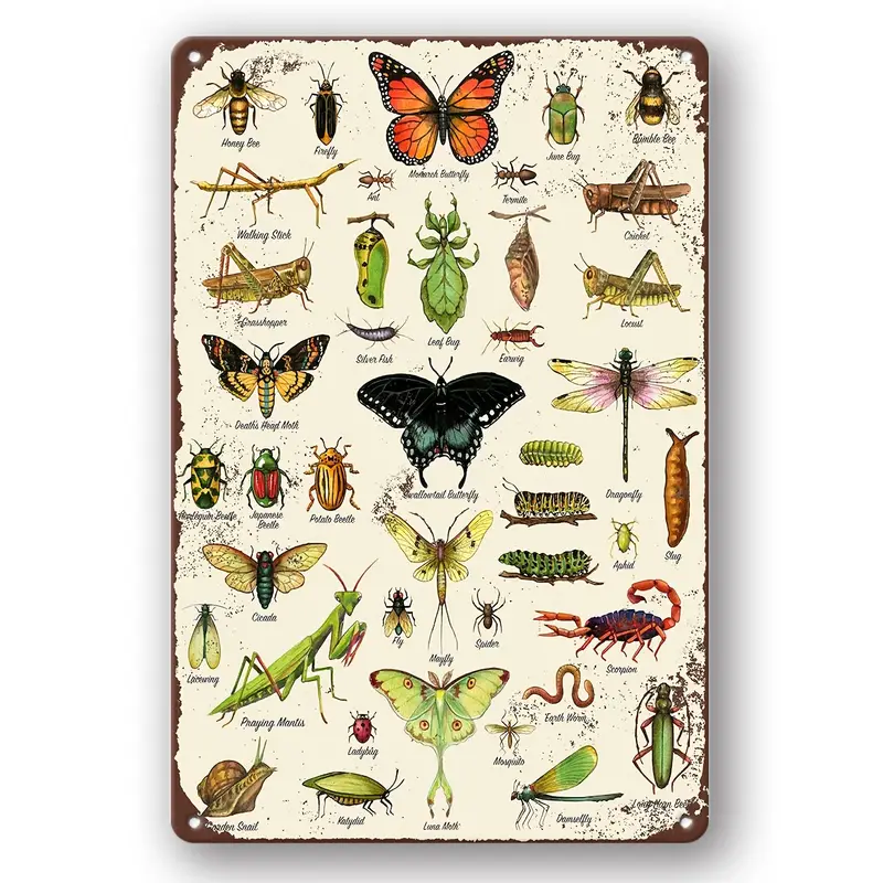 Illustrated retro Insect Butterfly Aluminium Sign 20 x 30 cm #9403 ...