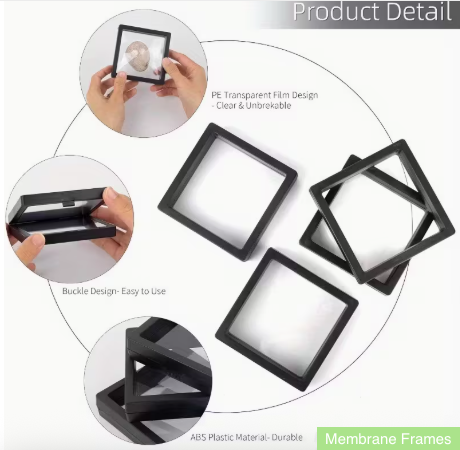 Membrane Display Frames - For Dried Butterflies and Insects - World of ...